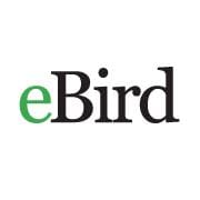 eBird